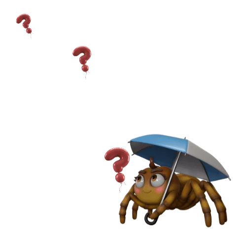 About Us - MoneySpider